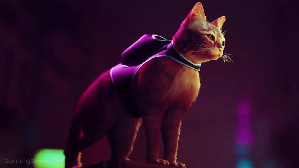 Best Stray Mods [2025 Updated List] - GamingScan