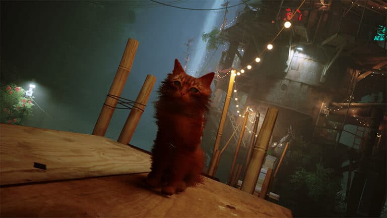 Best Stray Mods [2025 Updated List] - GamingScan