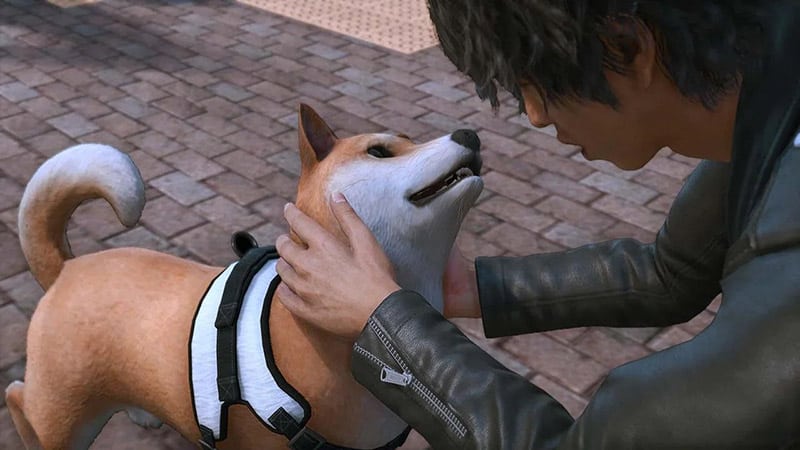 Best Video Game Pets Ranked [2025 Ultimate List] - GamingScan